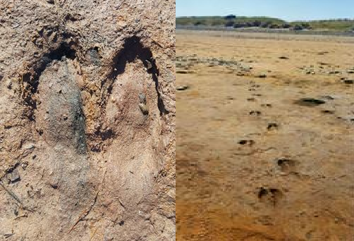 Millom and District Local History Society | time